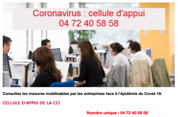 COVID 19 – La CCI Lyon Métropole au chevet des entreprises (31 mars ...