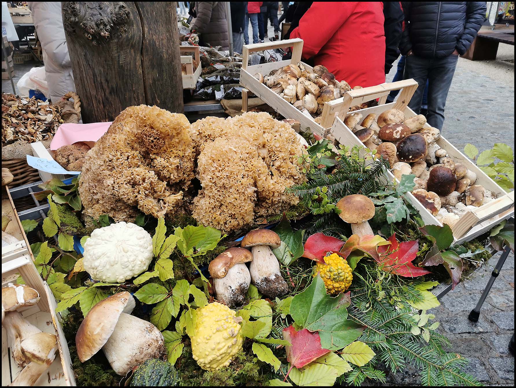 Foire aux champignons de Saint-Bonnet-le-Froid: 5 et 6 novembre 2022 ...